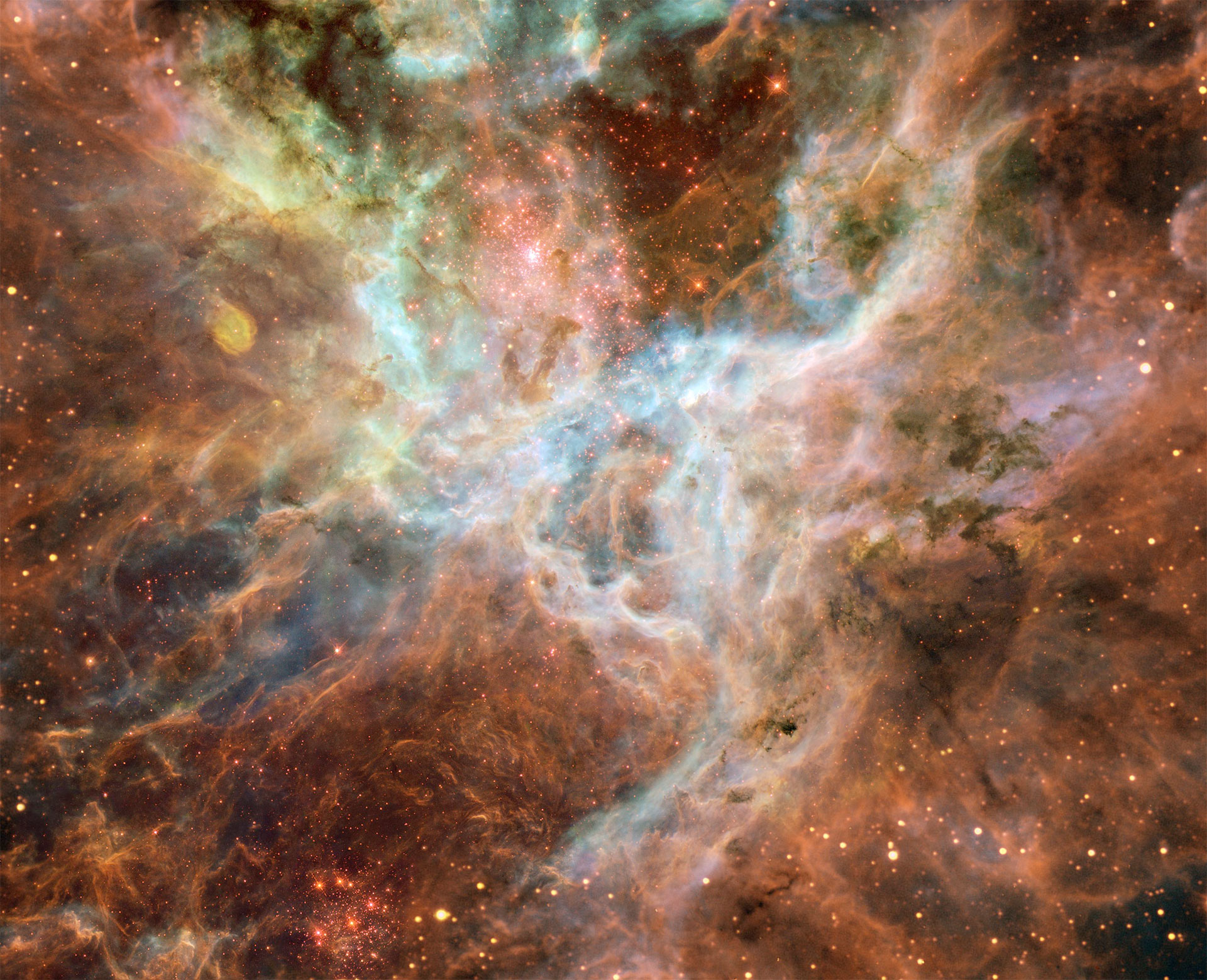 Protoplanetary | Creating the Web
